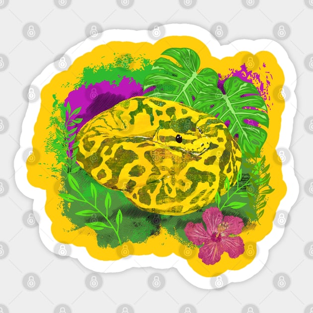 Jungle Ball Python Snake - Ball Python - Sticker | TeePublic